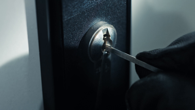 Best Pick Resistant Lock: Reviews, Buying Guide, and FAQs 2022